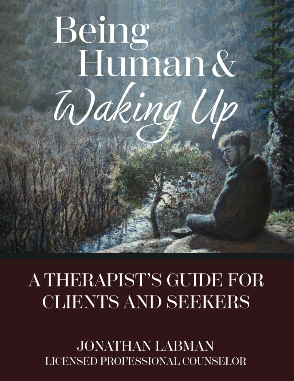 The Chris Voss Show Podcast – Being Human and Waking Up: A therapist’s guide for psychotherapy ...