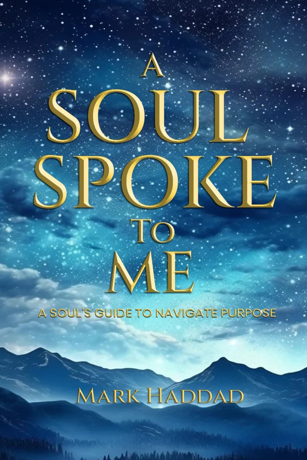 The Chris Voss Show Podcast – A Soul Spoke to Me: A Soul’s Guide to ...